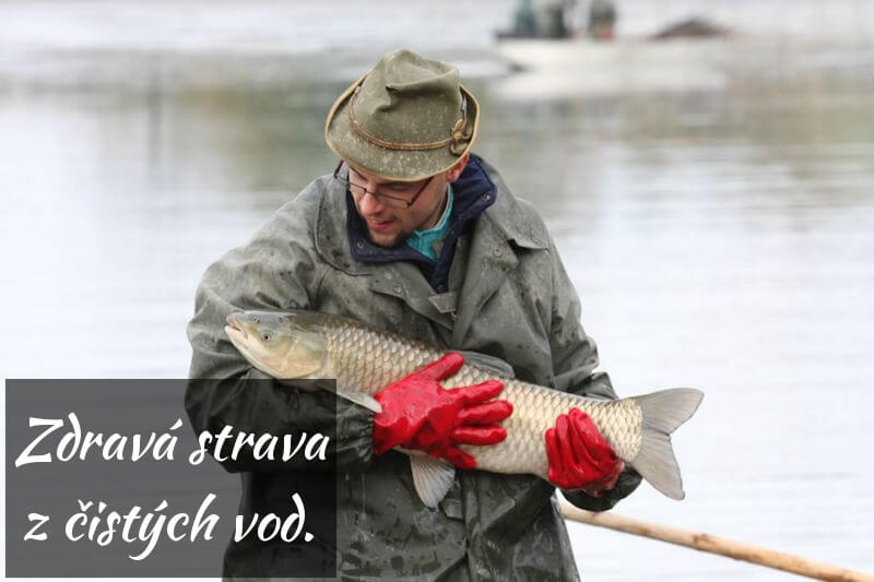 Blatenská ryba, spol. s. r. o. | FarmaNaDlani.cz